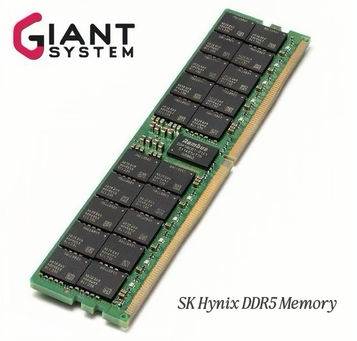 SK HYNIX DDR5 5600 RDIMM 8Rx4 256G HMCT14AGERA – Giant System